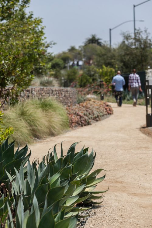 Pacific Center Campus Development R&D Building – Landscape - BNIM